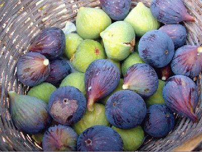 Enroque de ciencia: ¿Por qué se dice 'de higos a brevas'?