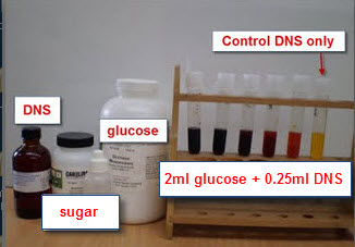 ib biology ia sample | IB BIOLOGY PHYSICS CHEMISTRY IA HELP TUTORS SAMPLE