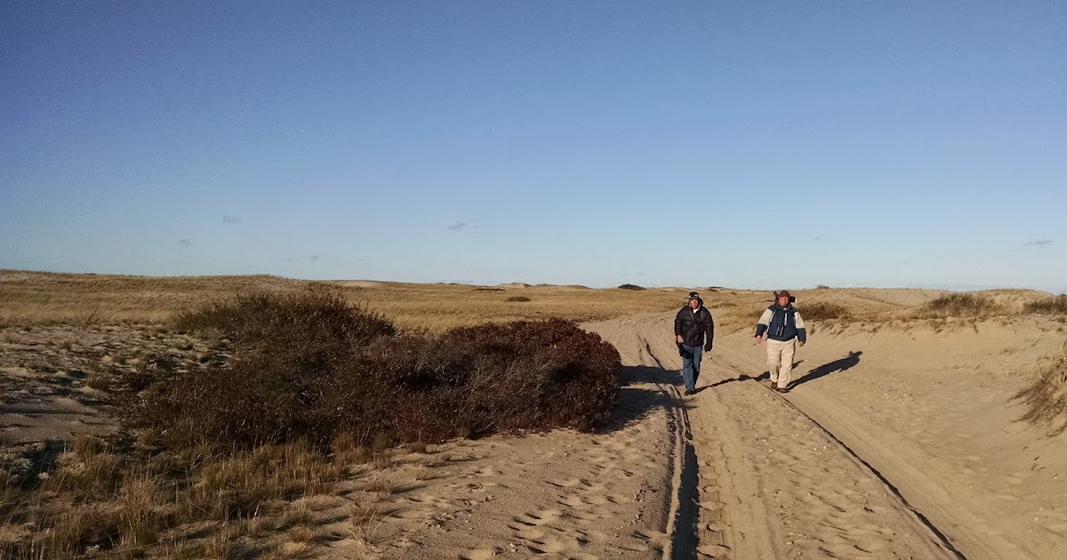 South Shore Bird Club of MA: Outer Cape Cod, 19 November 2017
