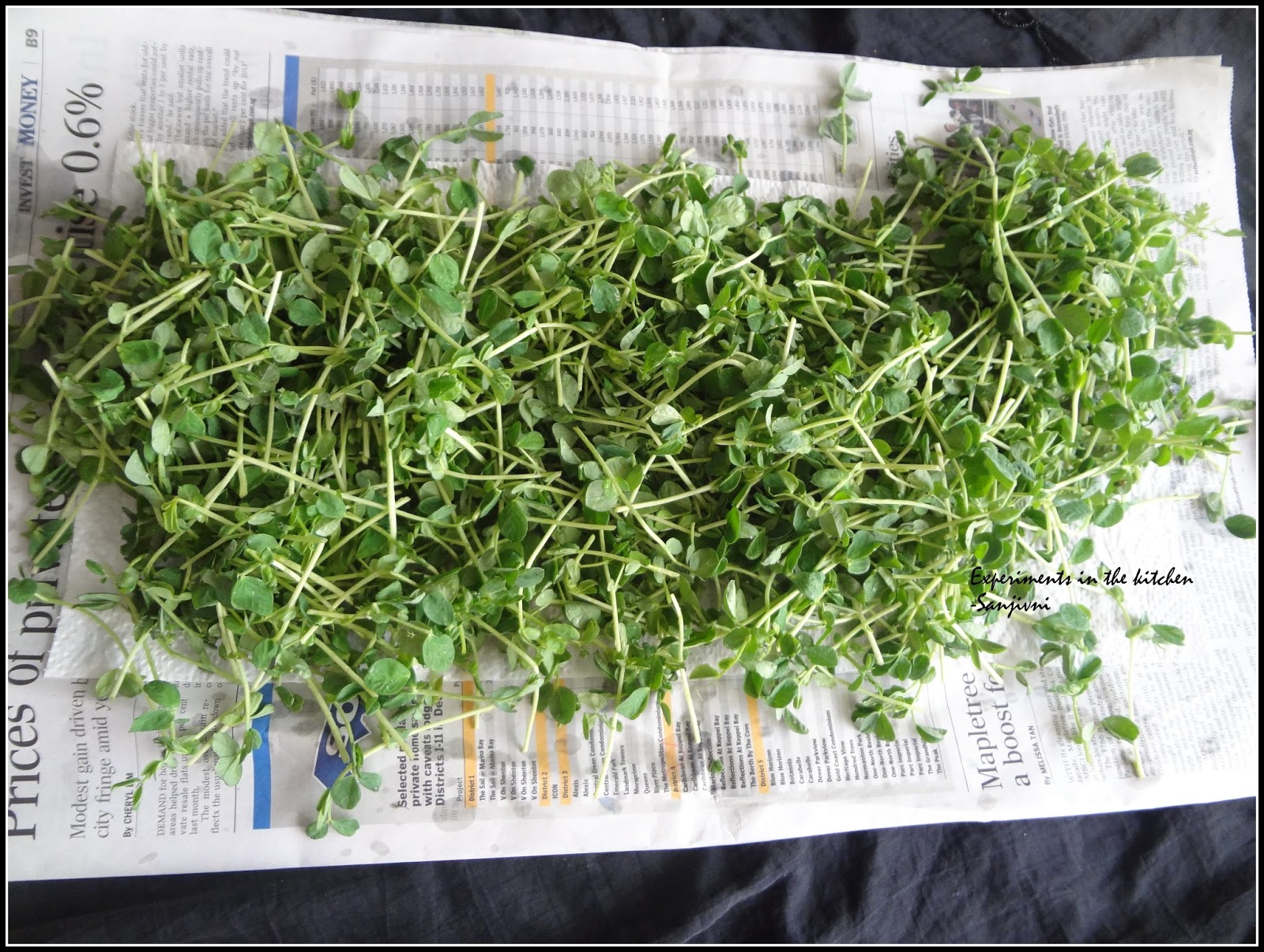 Experiments in the kitchen: Dau miu furikake ( 振り掛け / ふりかけ ) -- A ...