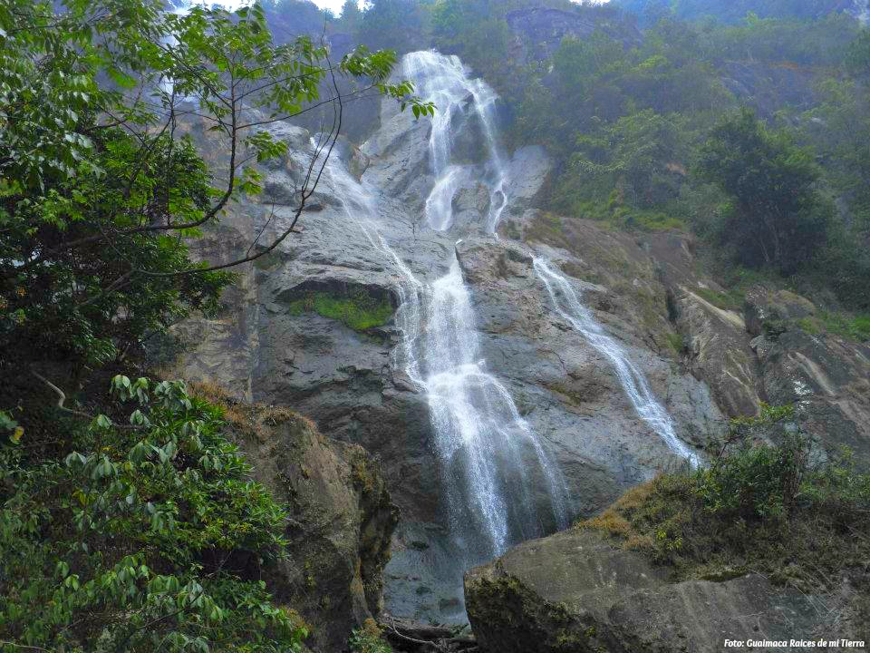 La Reserva Biológica Misoco ~ Honduras