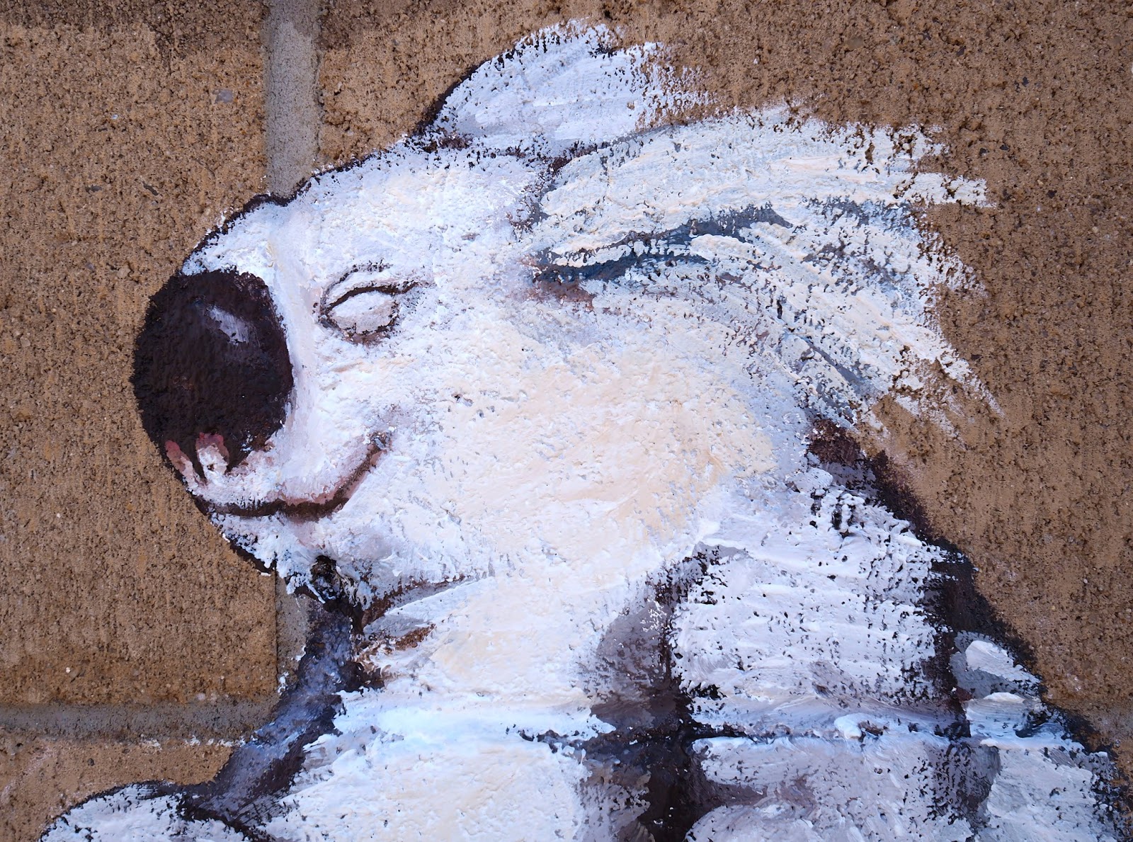 Rob Catterall Illustration