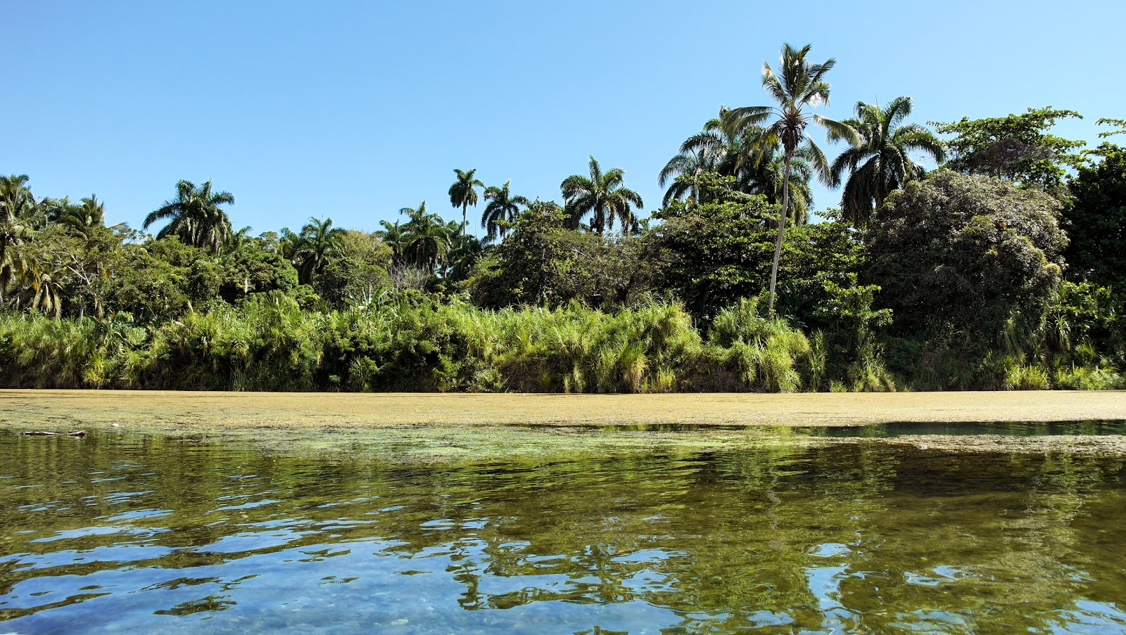 Cuba ...a special island: The Toa river is well known for its crystal ...