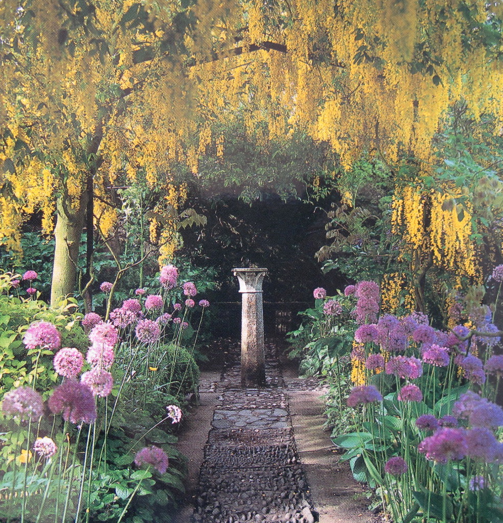 Flutterby Patch: Around the garden