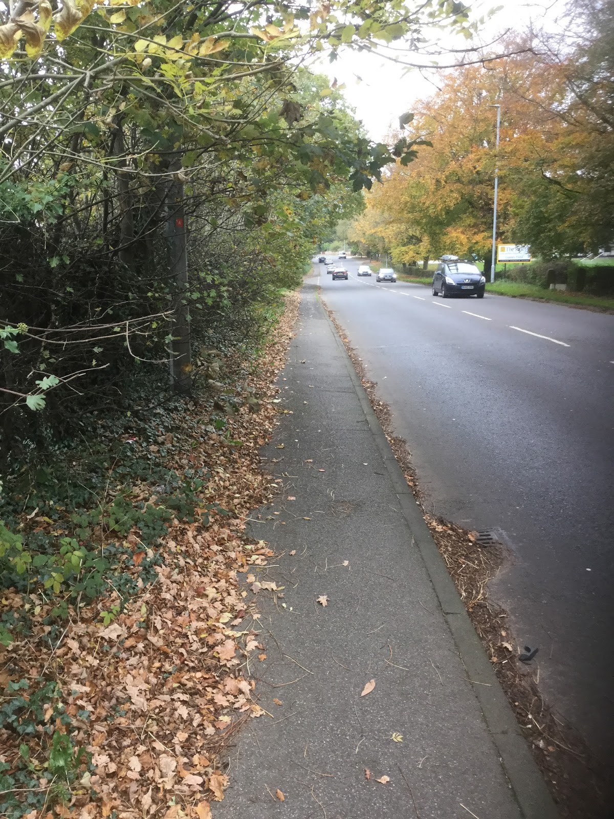 Cllr Craig Browne (Alderley Edge WARD): WILMSLOW ROAD - SIDING OUT