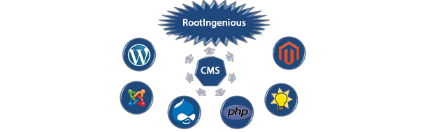 Rootingenious What Is CMS rootingenious-what-is-cms