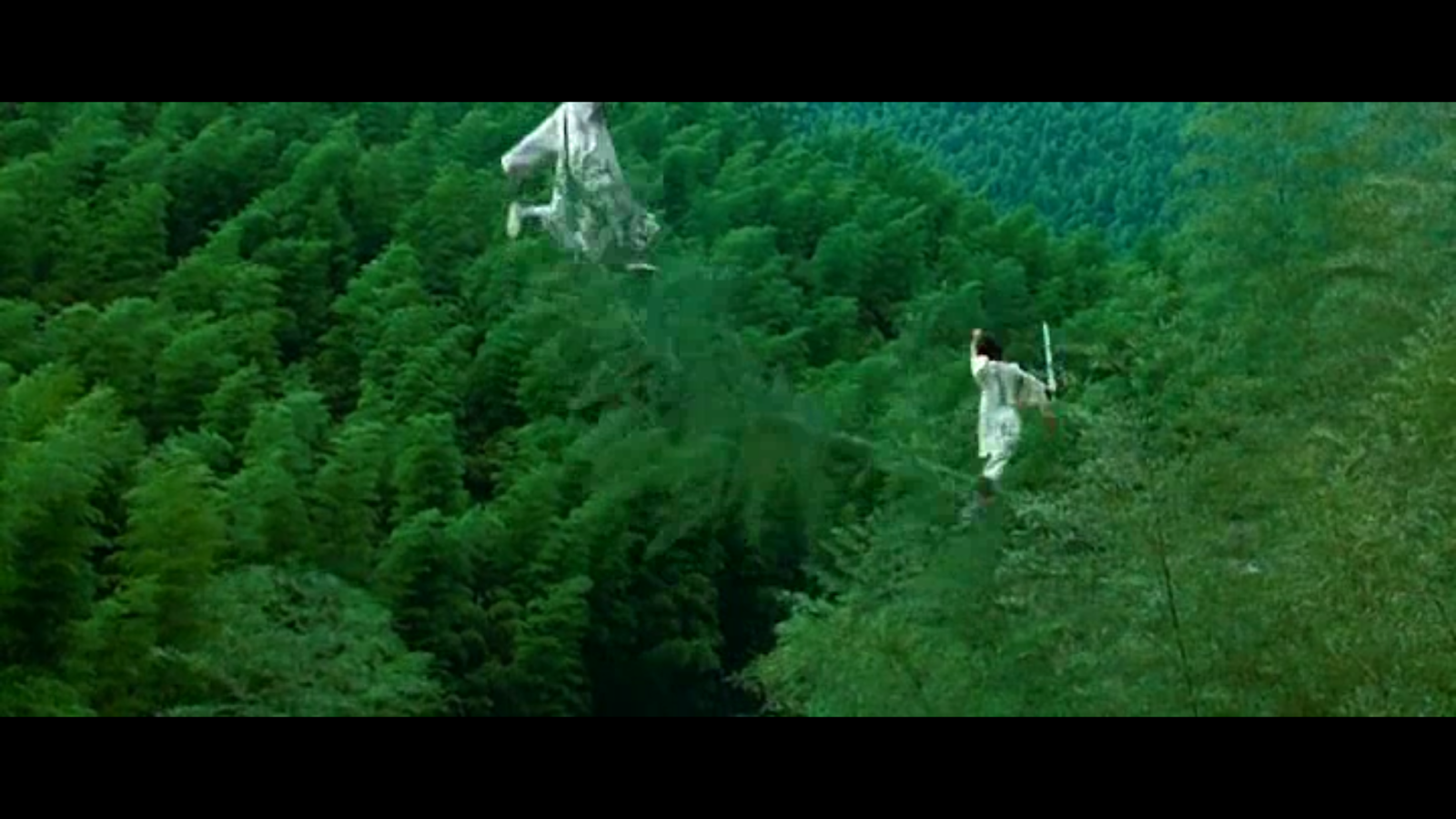 JamesH2O: Cinematography Analysis on Crouching Tiger, Hidden Dragon