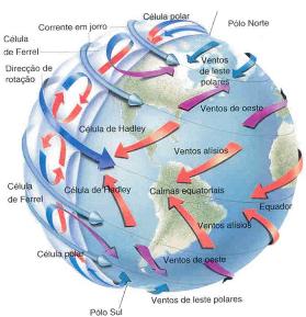 Carolina Dias: Maritimidade