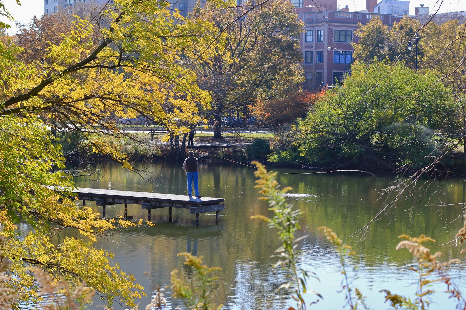 Bike Walk Lincoln Park: Beautiful autumn day in Lincoln Park