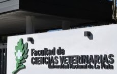 ~ Minga Nuevo CECV