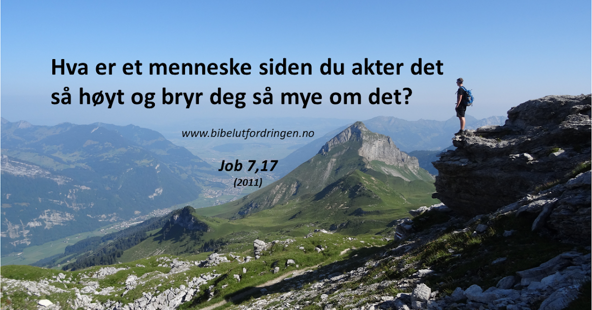 Bibelutfordringen: Job 7,17