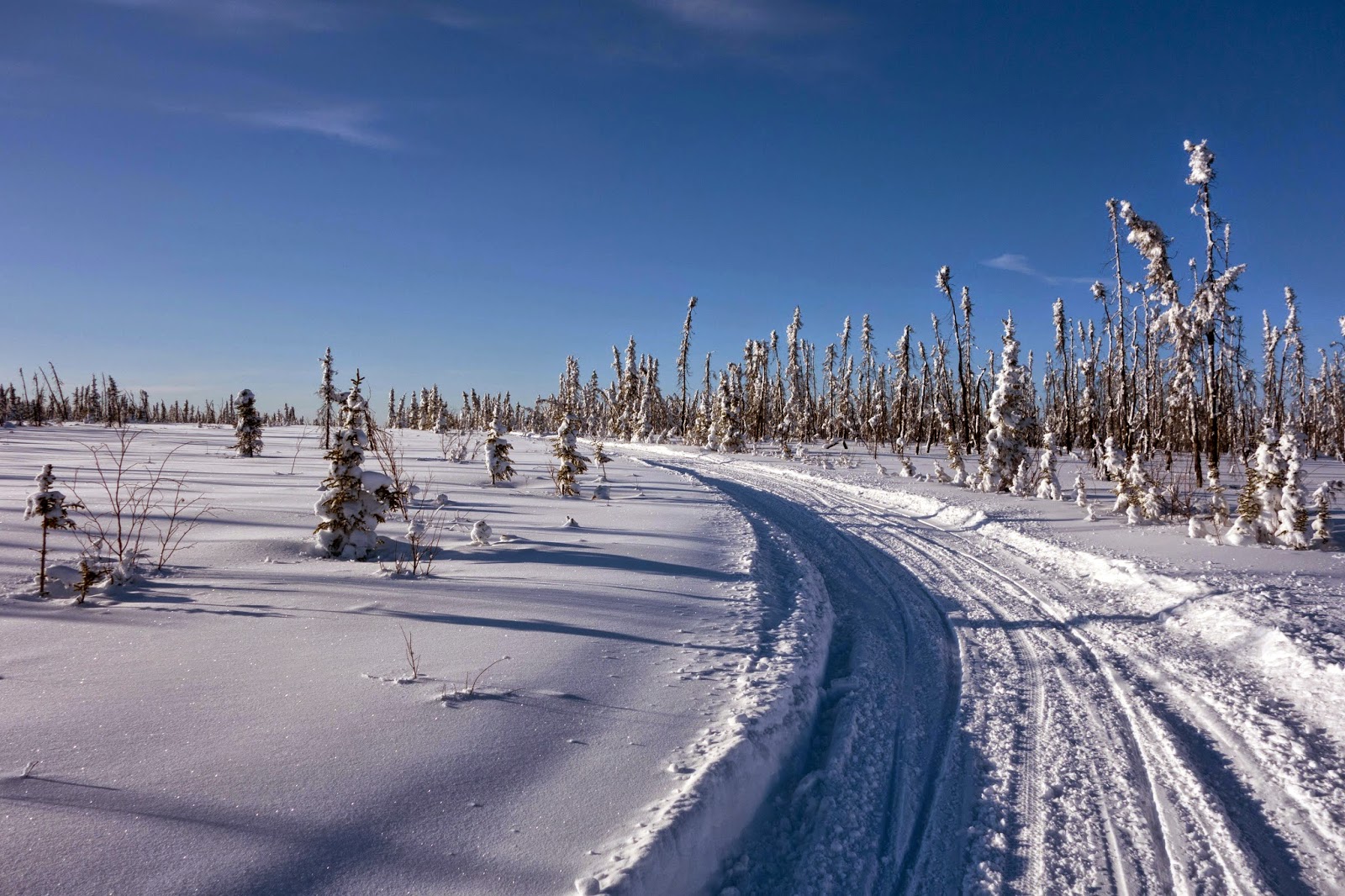 Jill Outside: Frozen in place