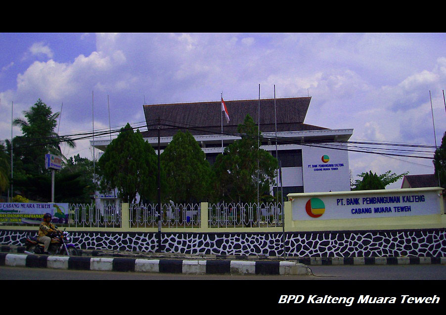 Kota Muara Teweh ~ Bumi Nusantara