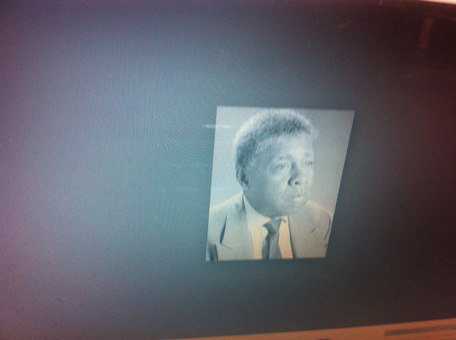 THE BLACK SOCIAL HISTORY:: BLACK SOCIAL HISTORY : AFRICAN AMERICAN ...