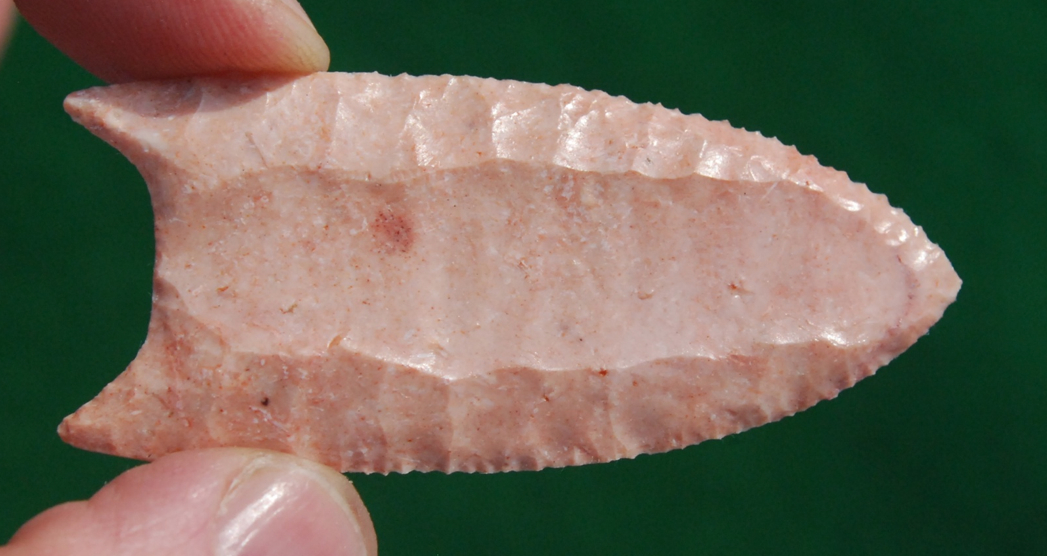 Where have we come from? – The History of 'Merica