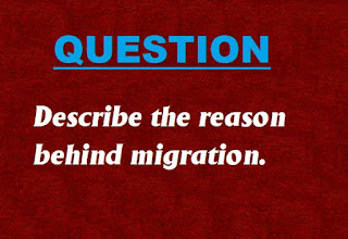 Describe the reason behind migration. - M.M.R cse