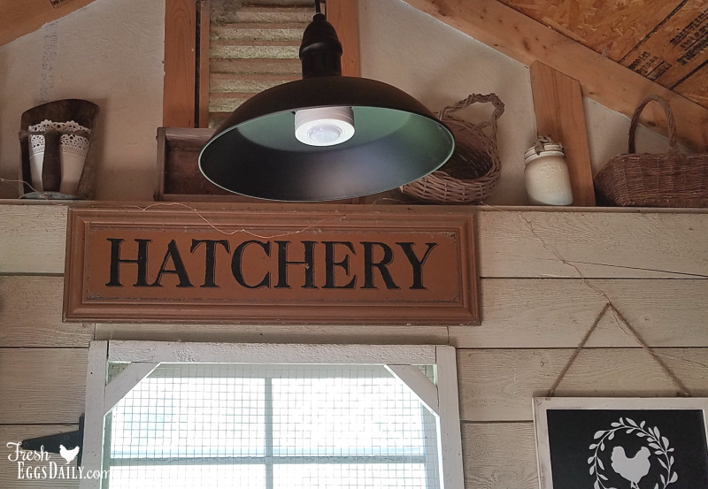 How to Light your Chicken Coop for Less than $50 with no Electricity ...