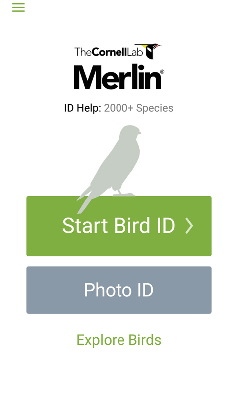 Birding Catalunya: App: Merlin, The Cornell Lab