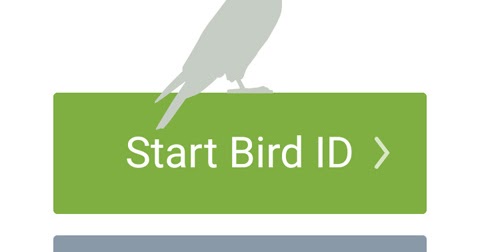 Birding Catalunya: App: Merlin, The Cornell Lab