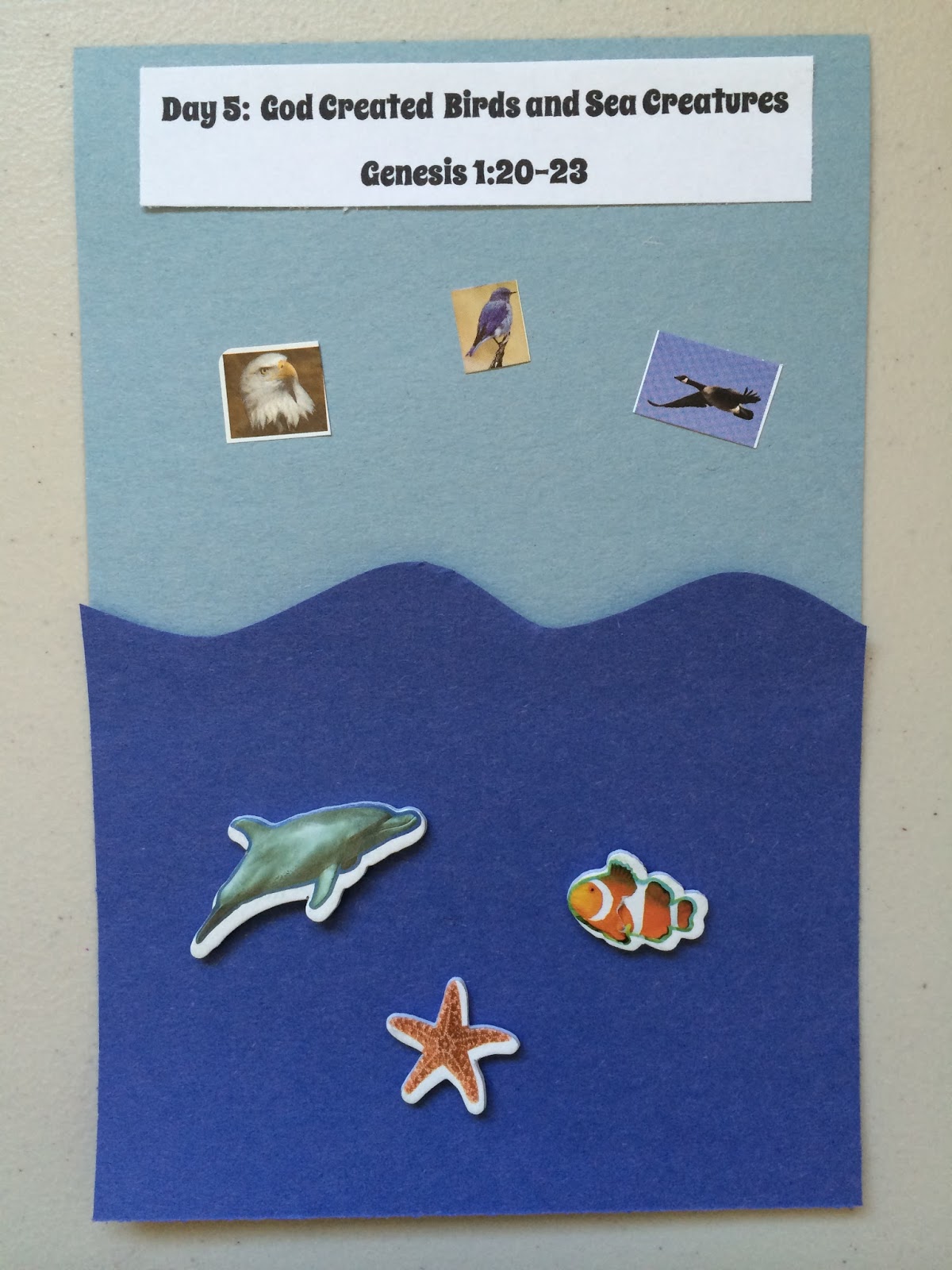 faith sprouts: Creation Day 5