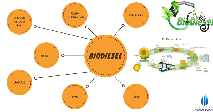 KimintekHijau.com: ENERGI TERBARUKAN BIODIESEL UNTUK HARI ESOK