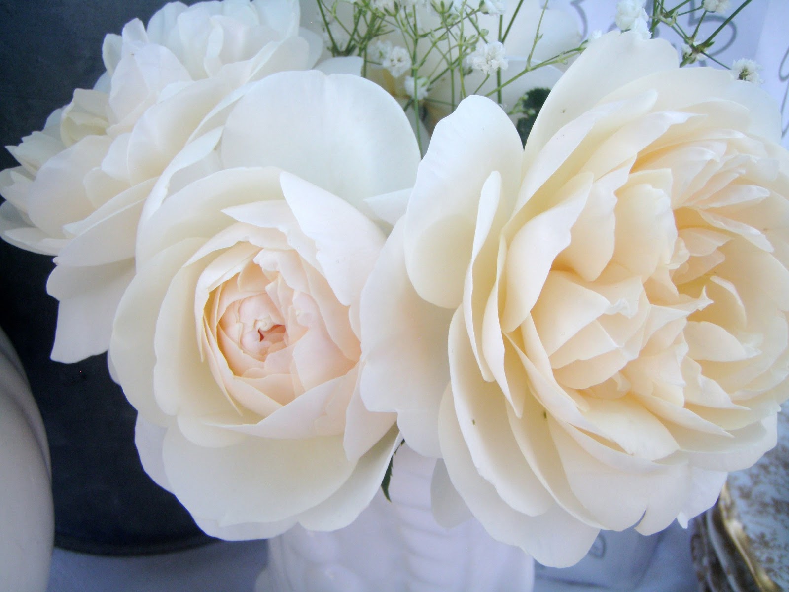 Cabin & Cottage : Bride's Dream Roses & Vintage French Limoges