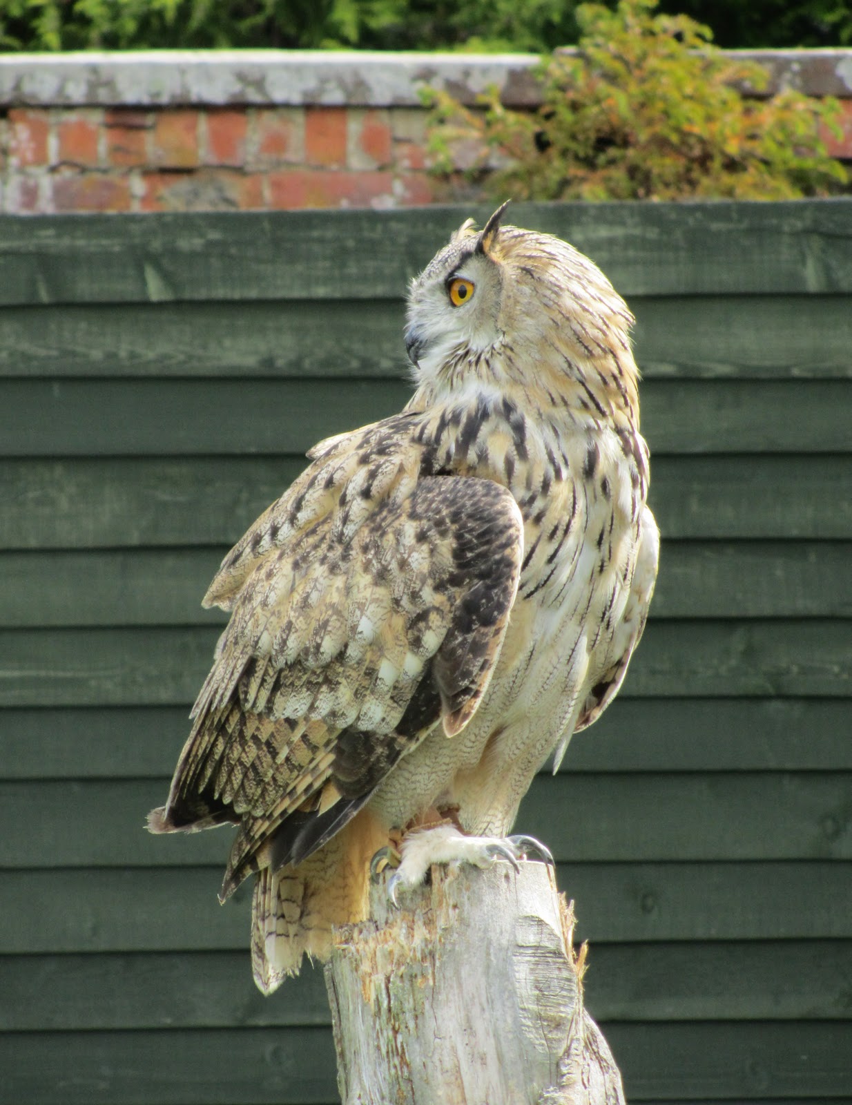 Little Sealed Packages: Thorp Perrow - What was through the gate