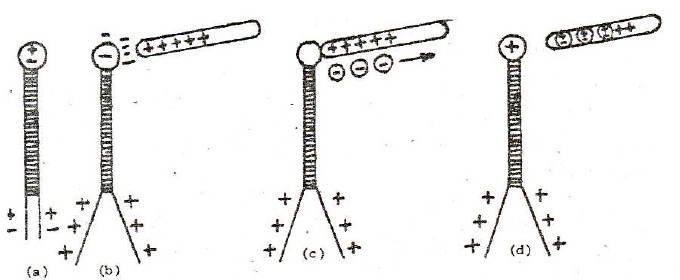 Electrostática: Electrización