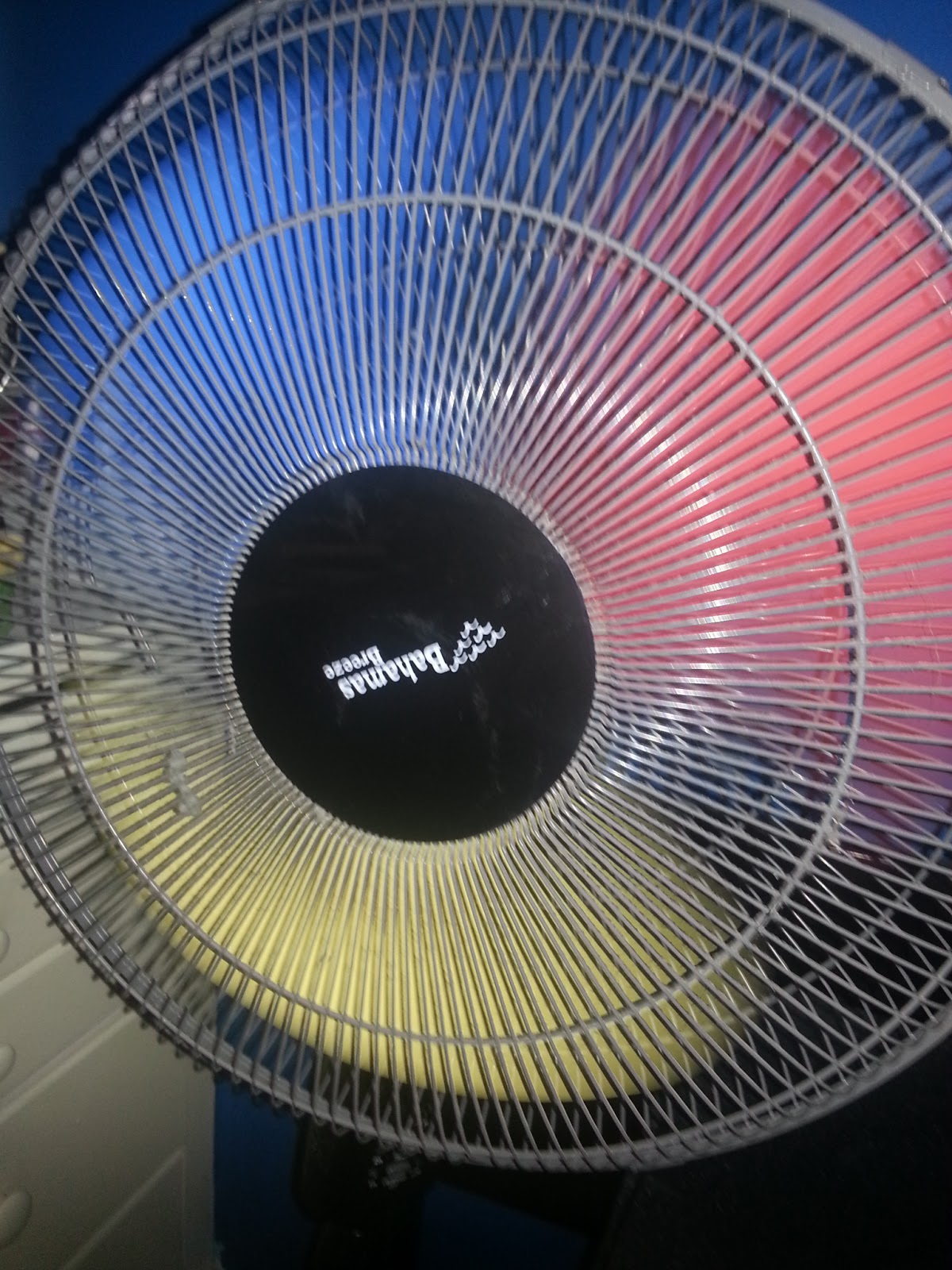 The Trial and Errors of Pinterest