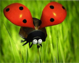 MINUSCULE TV SERIES.... for you and your kids