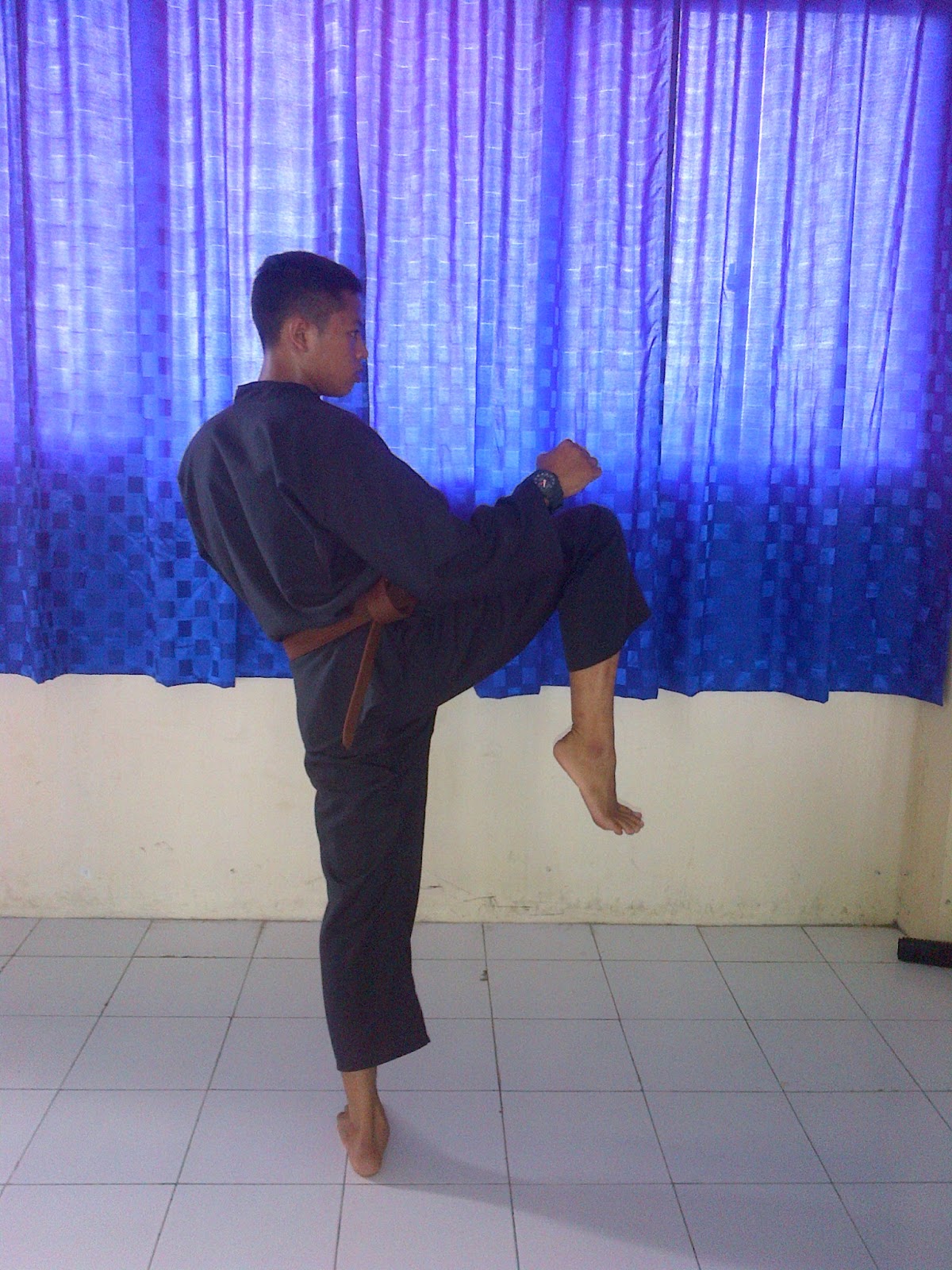 pencak silat dasar