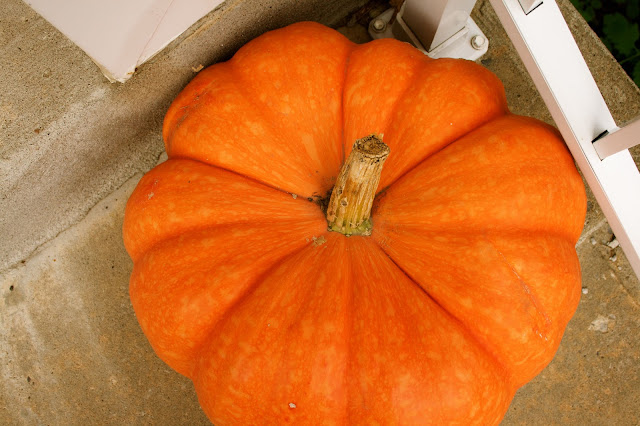 Experience the Wonderful.: oh...hello fall.