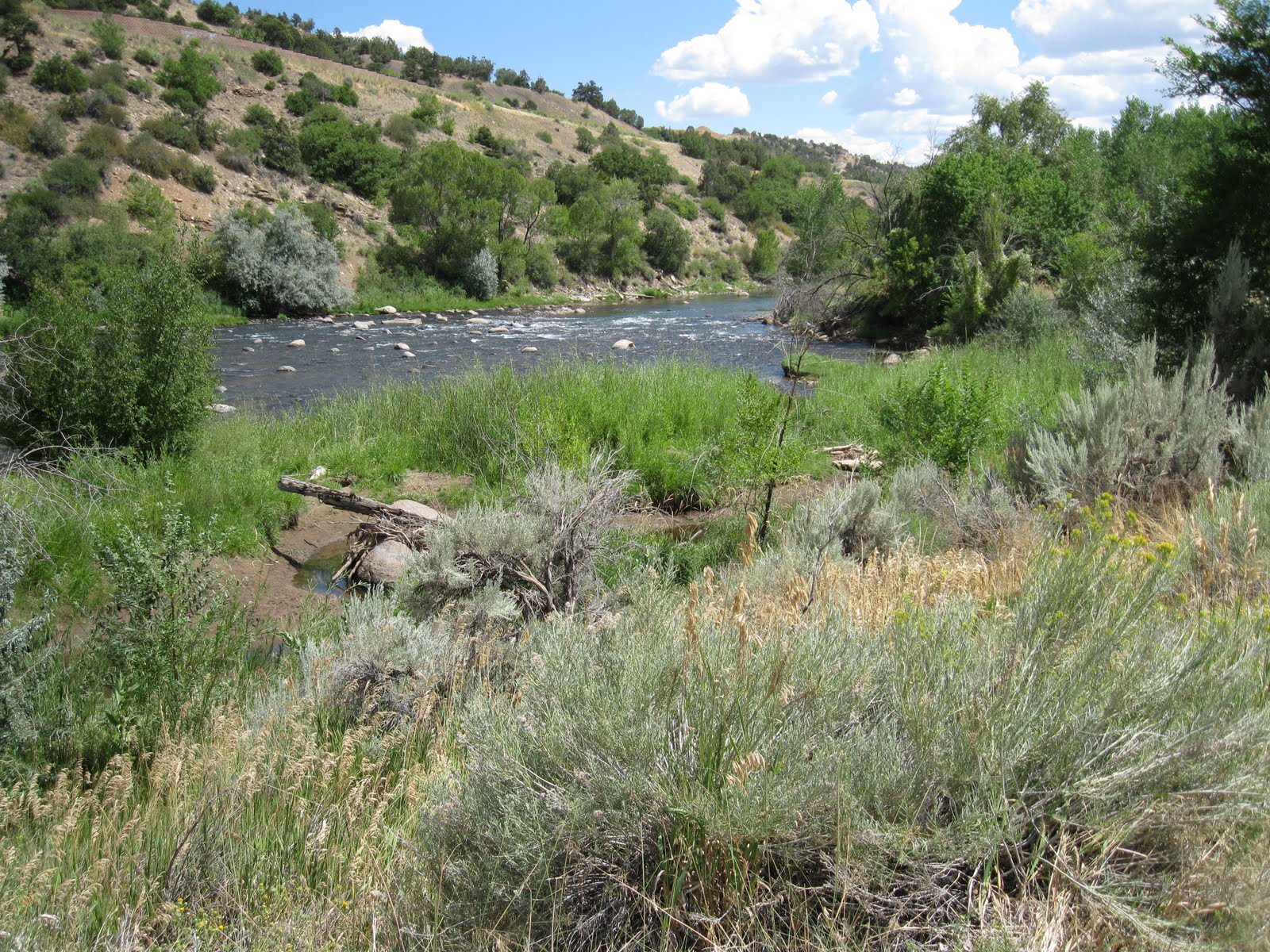 Four Corners Hikes-Dolores River Valley Colorado: Animas River Trail ...