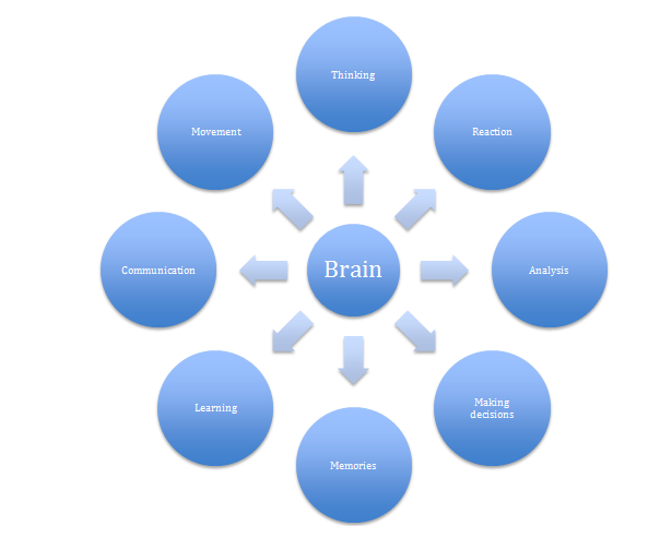 Creative & Innovative Skills