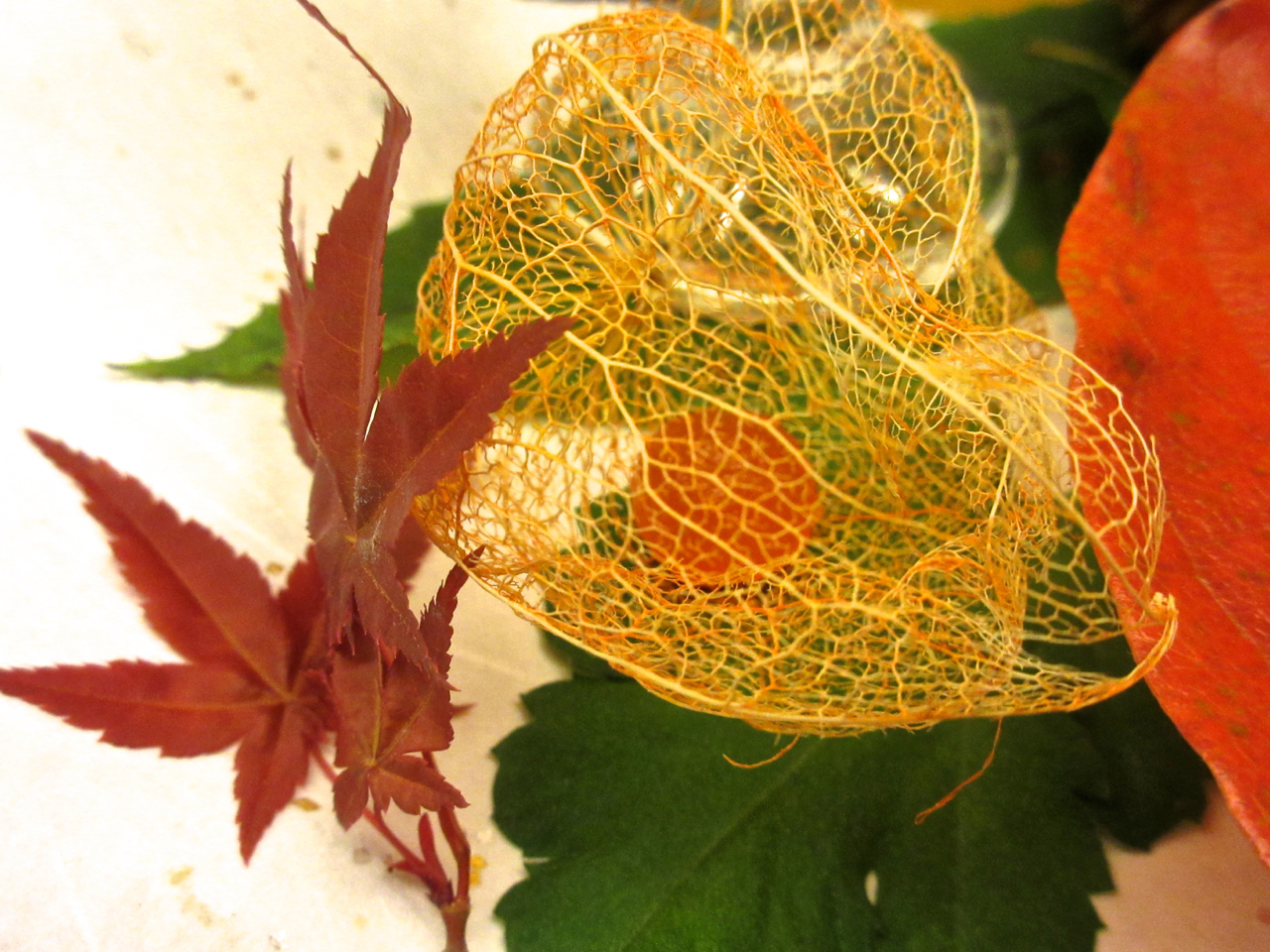 bobbyjayonfood: Japan 2015 - Zeniya: The Pinnacle of Elegance