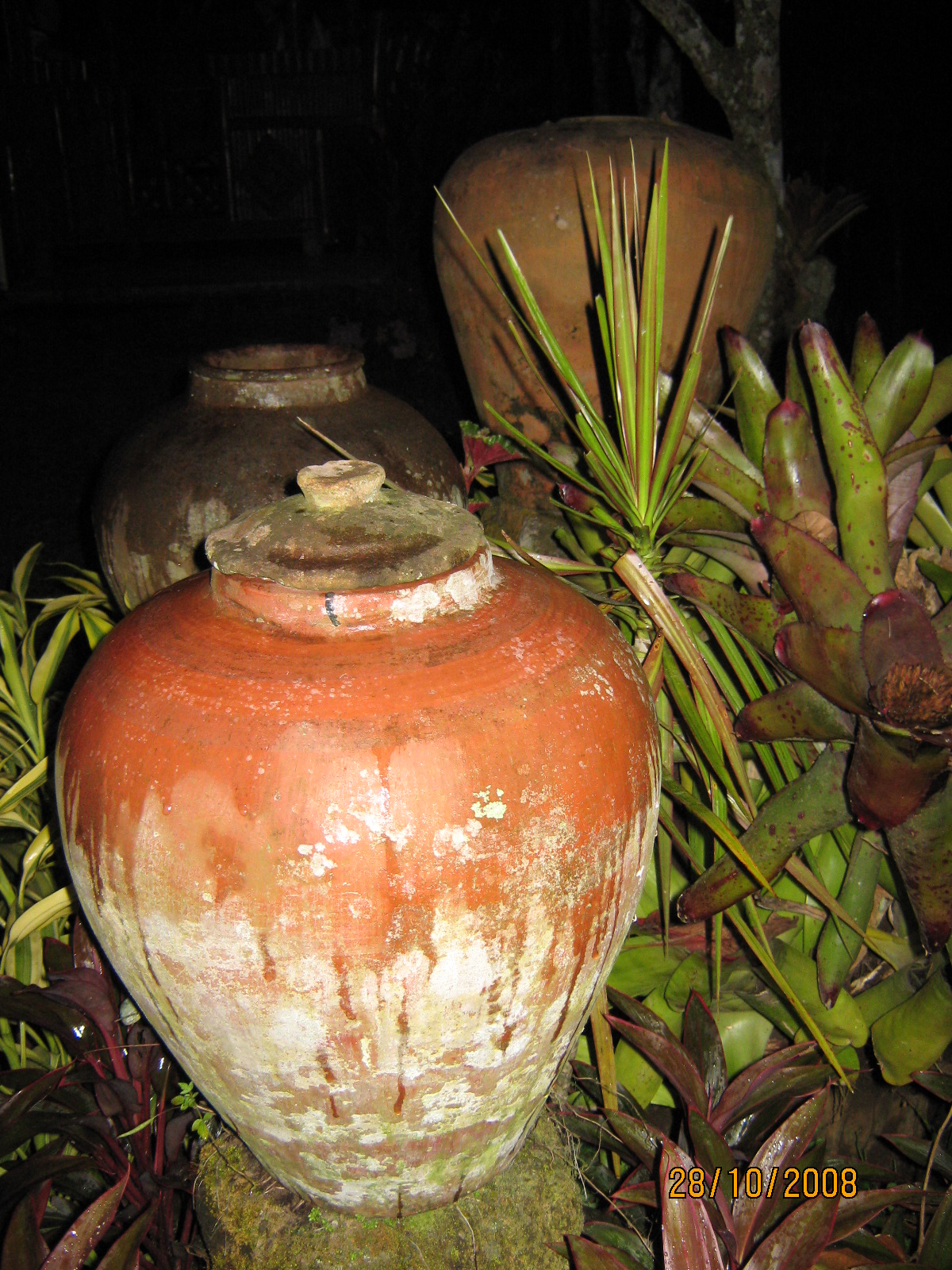 Ibaloy Reflections: SALAW