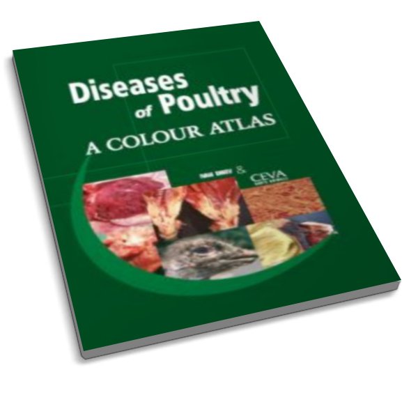 A Gateway to Veterinary Network : Diseases Of Poultry A Colour Atlas