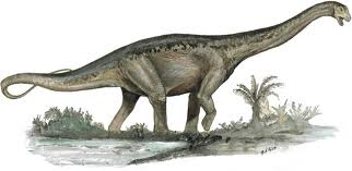 Mundo pré-historico: Barrosasaurus casamiquelai