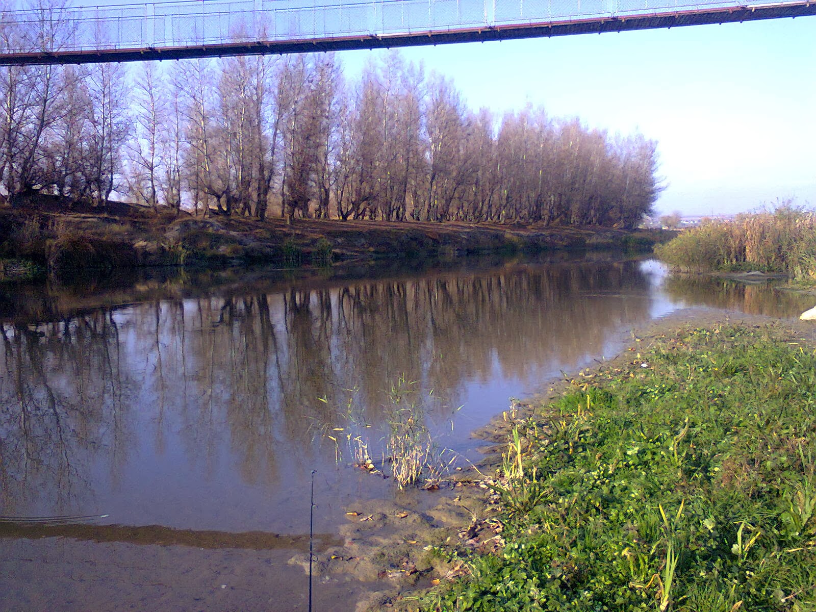 Pescuitul sportiv - mai presus de pasiune