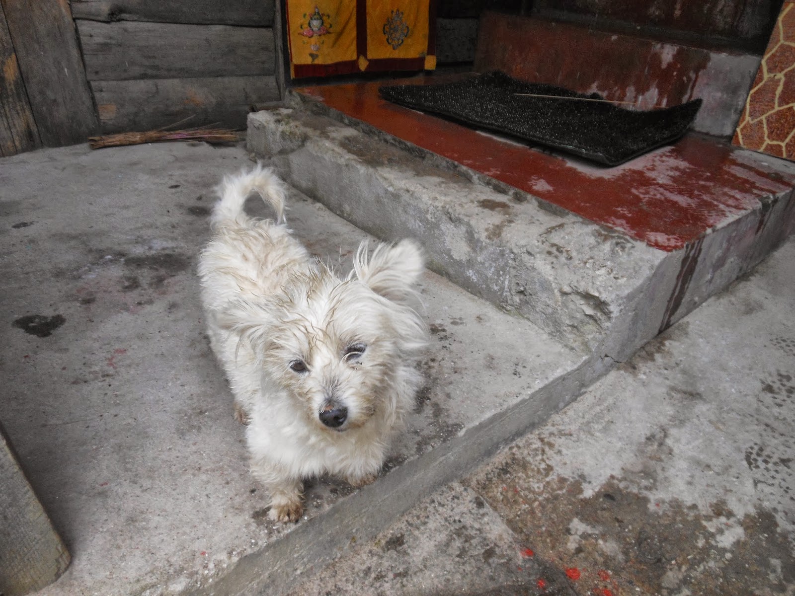 Platonic: Travel Diary: Gangtok