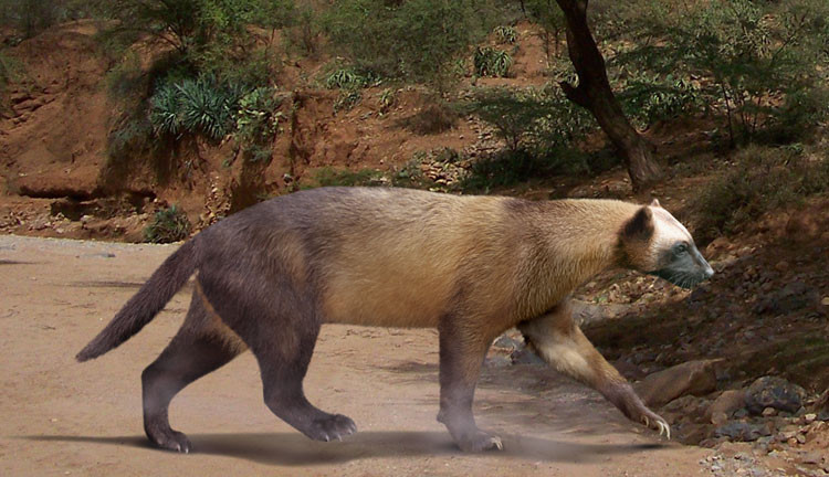 El rinconcito del pequeño naturalista: El rincón de los documentales