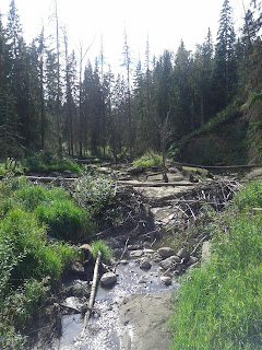 Family Fun - Adventures in Edmonton: Family Hike: Wedgewood Ravine ...