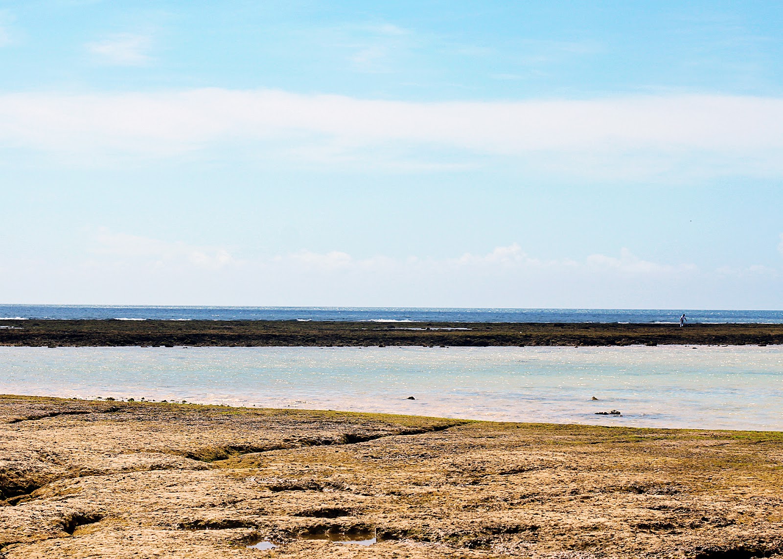Enjoying Life With 4 Kids: Lowtide at Sunabe Beach