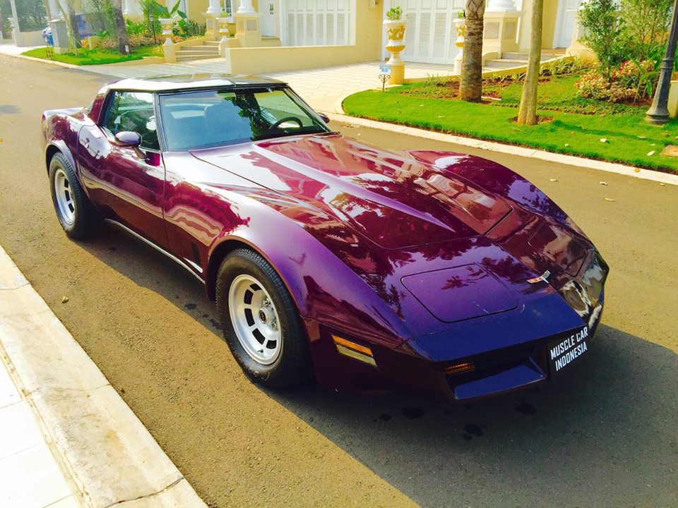 MUSCLE CAR COLLECTION : Chevrolet corvette stingray 1982