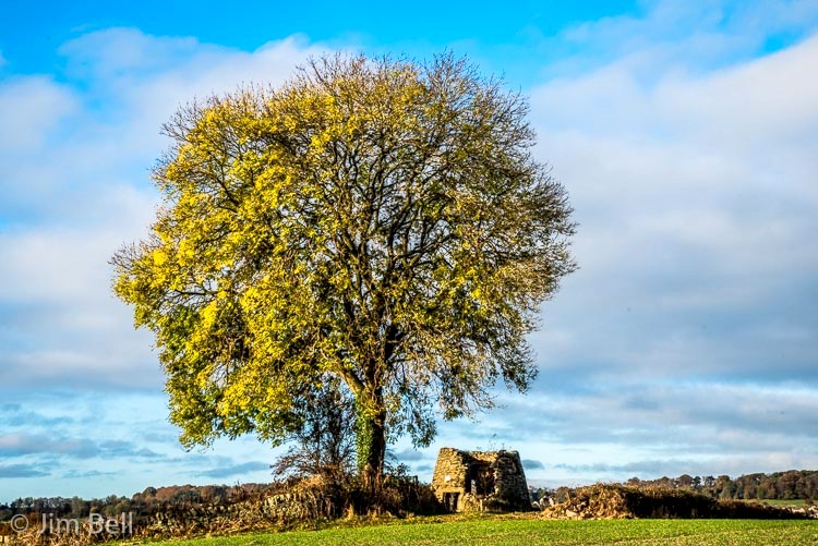 Out & About: Fritchley Windmill