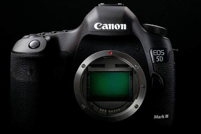 Michael Daniel Ho - The Wildlife Ho-tographer: Canon EOS-5D Mk III vs ...