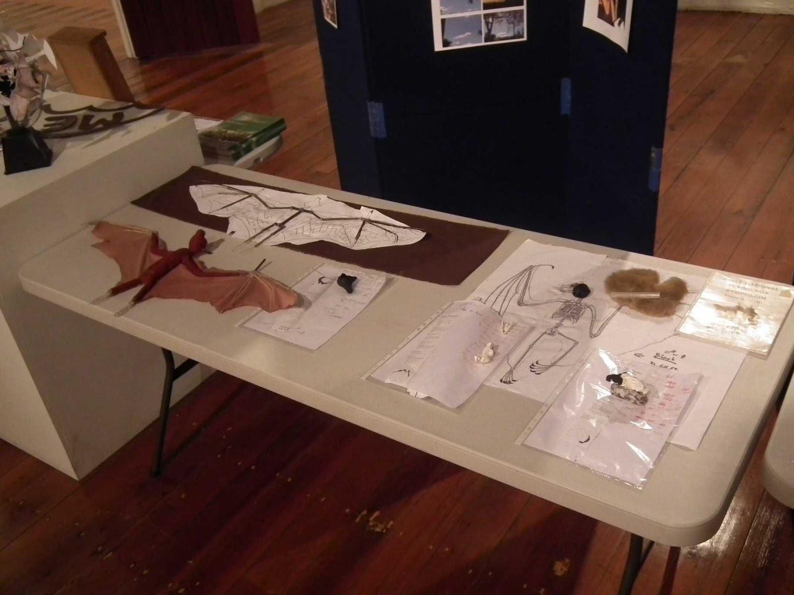 Megabat Matters: Making a Life Sized Model Megabat or Microbat.