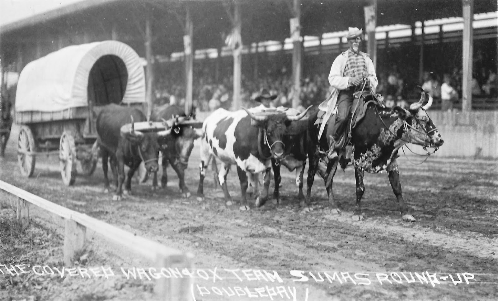 Nooksack Valley Nostalgia: Sumas Roundup - "See 'Em Buck!"...part 6 of 15