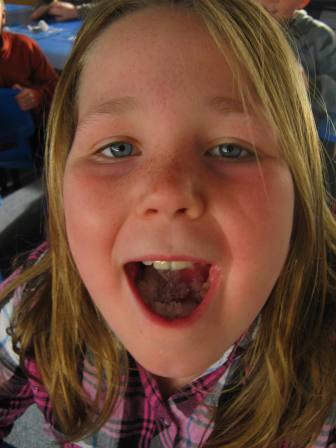 Room 4 Lawrence Area School 2011: Foaming at the Mouth - Sherbet