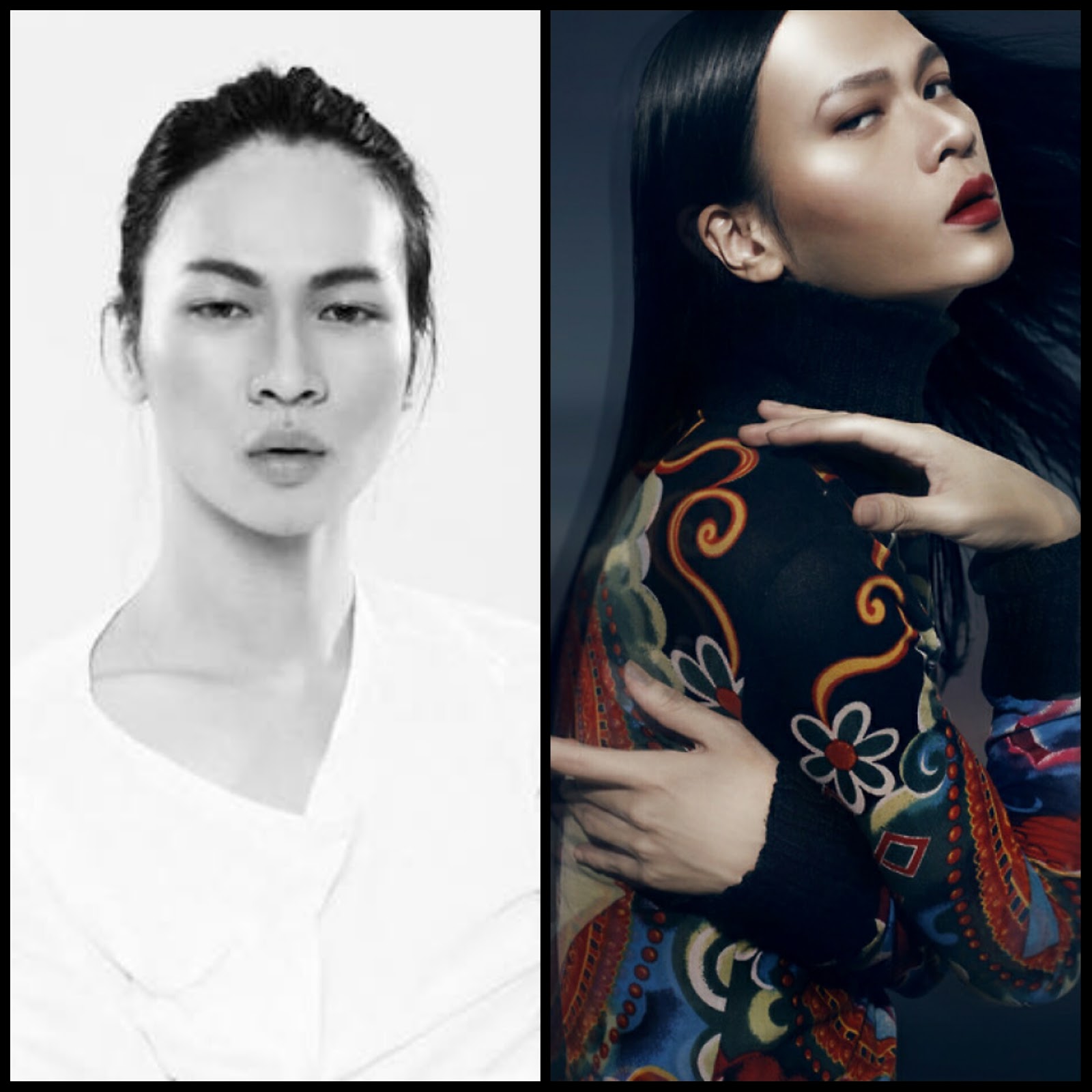 All About Model: Androgini Model